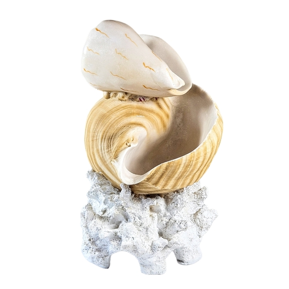 Unknown | Accents | Nautical Decorative Seashell Coral Water Feature ...